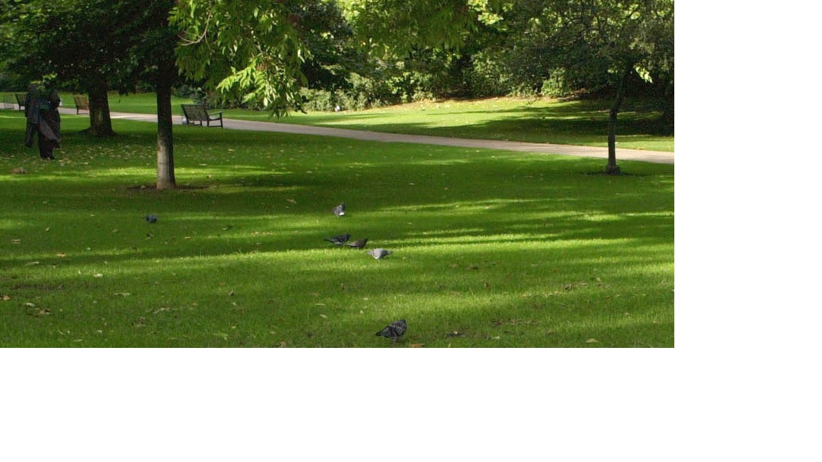 Frustration at Angus play park vandalism | News - Tay FM