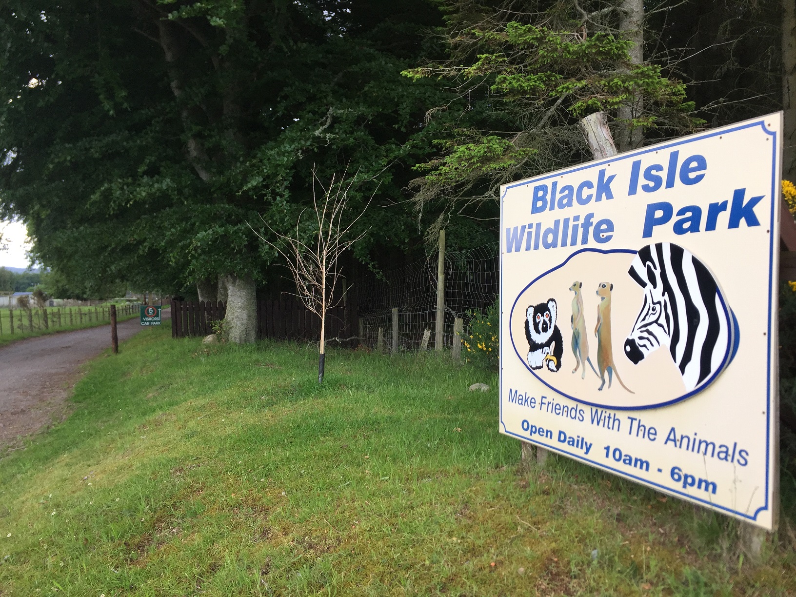 WATCH: Black Isle Wildlife Park speaks to MFR News | News - MFR