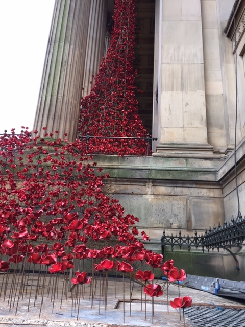 Liverpool's Weeping Window Poppy Display Nears Completion | News ...