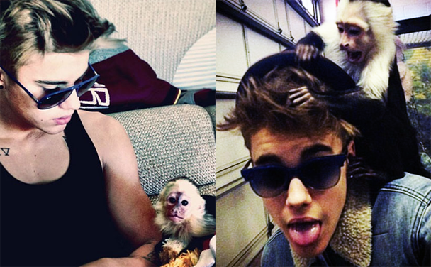 Justin Bieber's Monkey Leaves Quarantine | Music - undefined