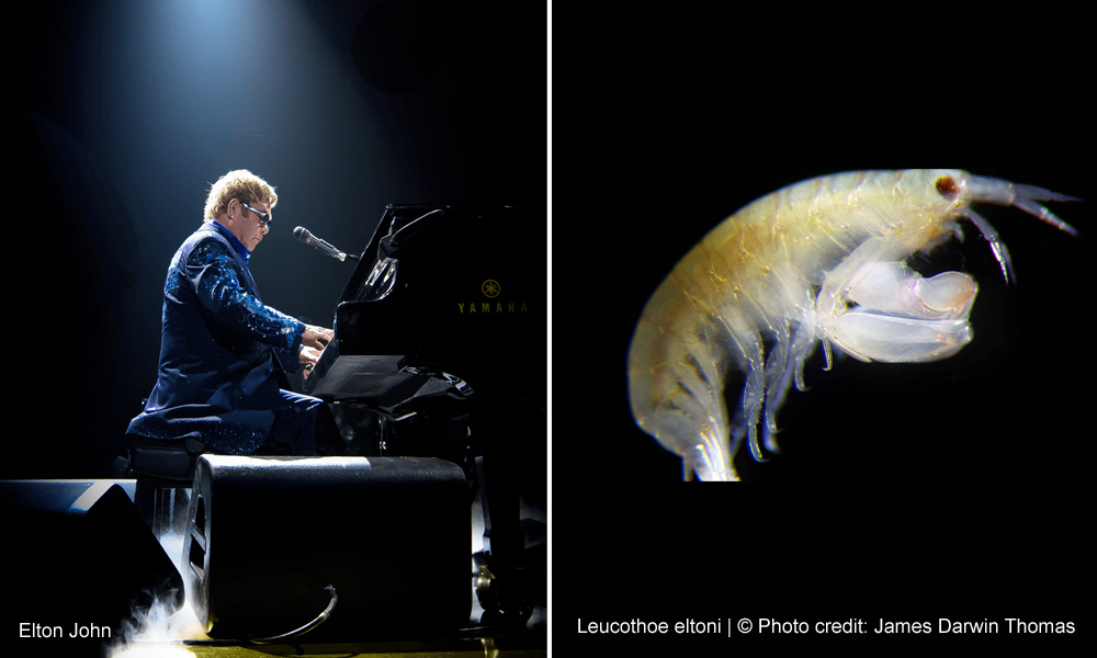 Musicians that have species and plants named after them | Music - Magic ...