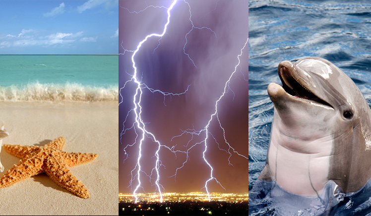 10 of the world's most amazing noises | News - Forth 1