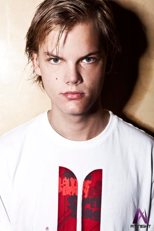 Avicii Releases New Music Video for 'Hey Brother' | Music - undefined