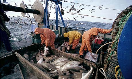 Call for statue to honour Aberdeen's trawlermen | News - undefined