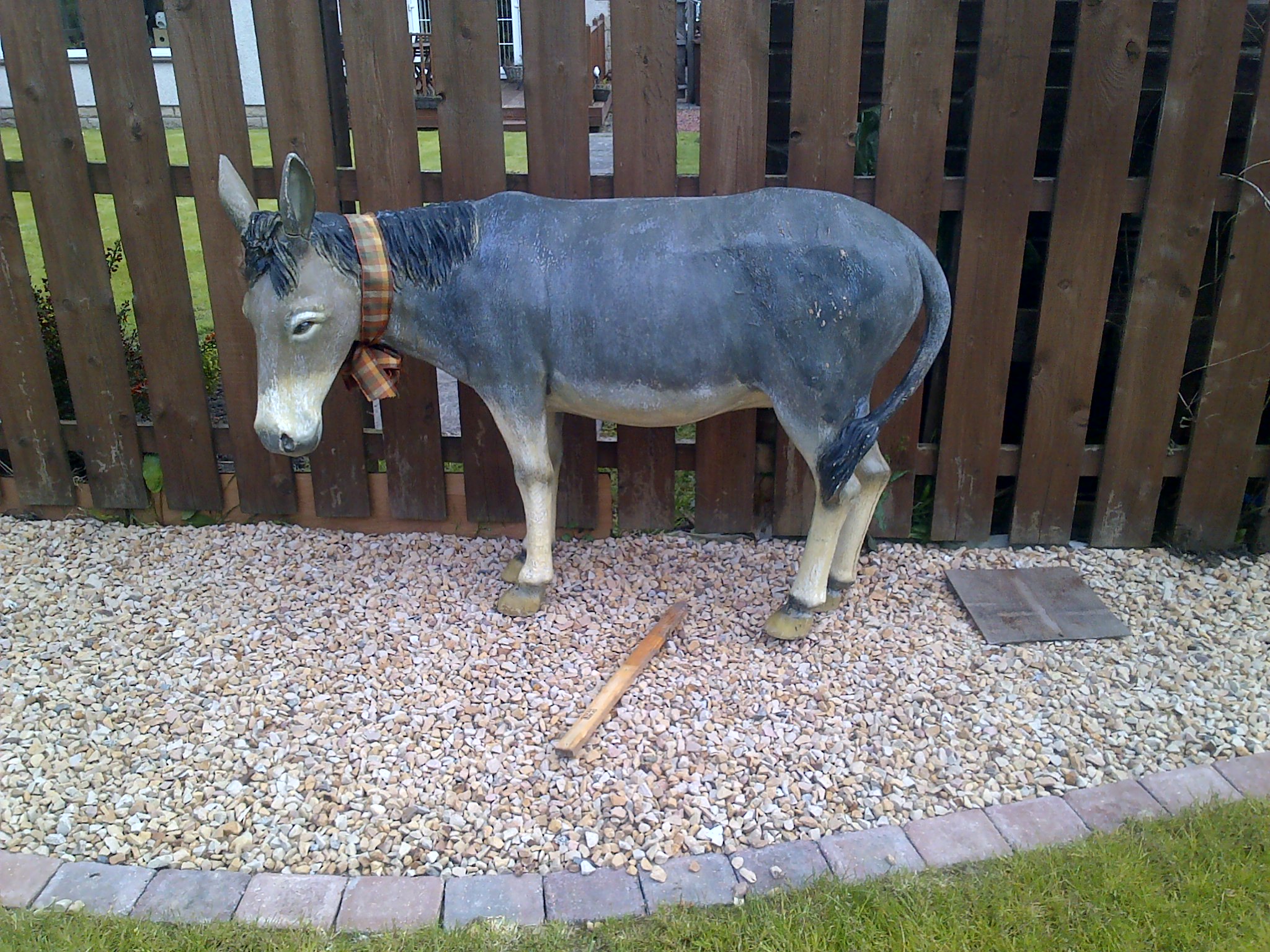 Fibreglass Donkey Sparks Animal Cruelty Alert | News - undefined