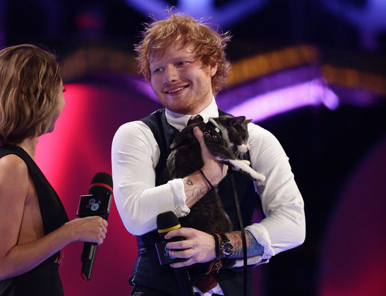Ed Sheeran presents Canadian awards show with a kitten – CUTE ...