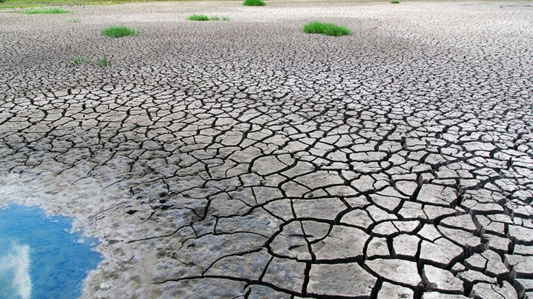 Drought officially declared across the South | News - Hits Radio (South ...