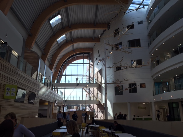 LOOK: Inside New Alder Hey | News - Greatest Hits Radio (Liverpool ...