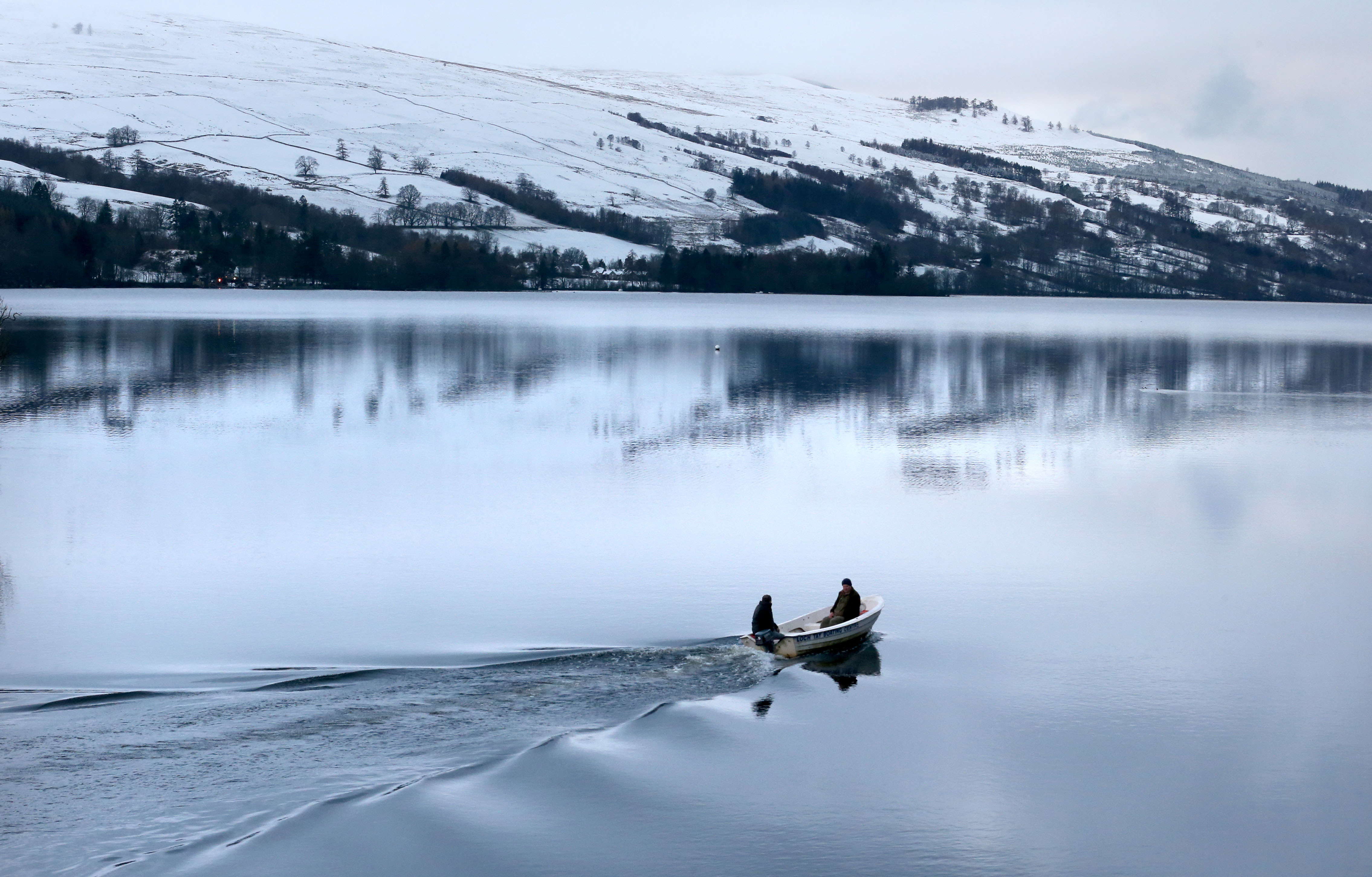 Researchers: Salmon Resistant To Sea Lice Could Be Bred | News - MFR